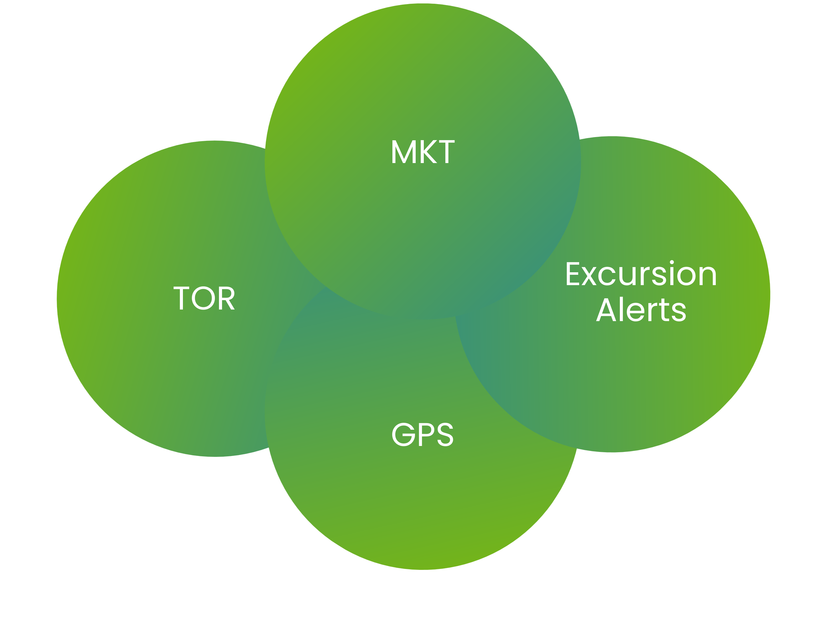 Supply Chain Visibility